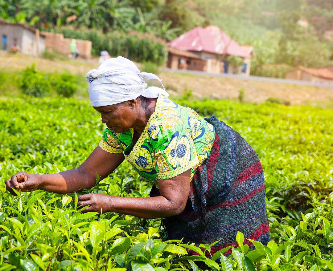 Visit Rwanda